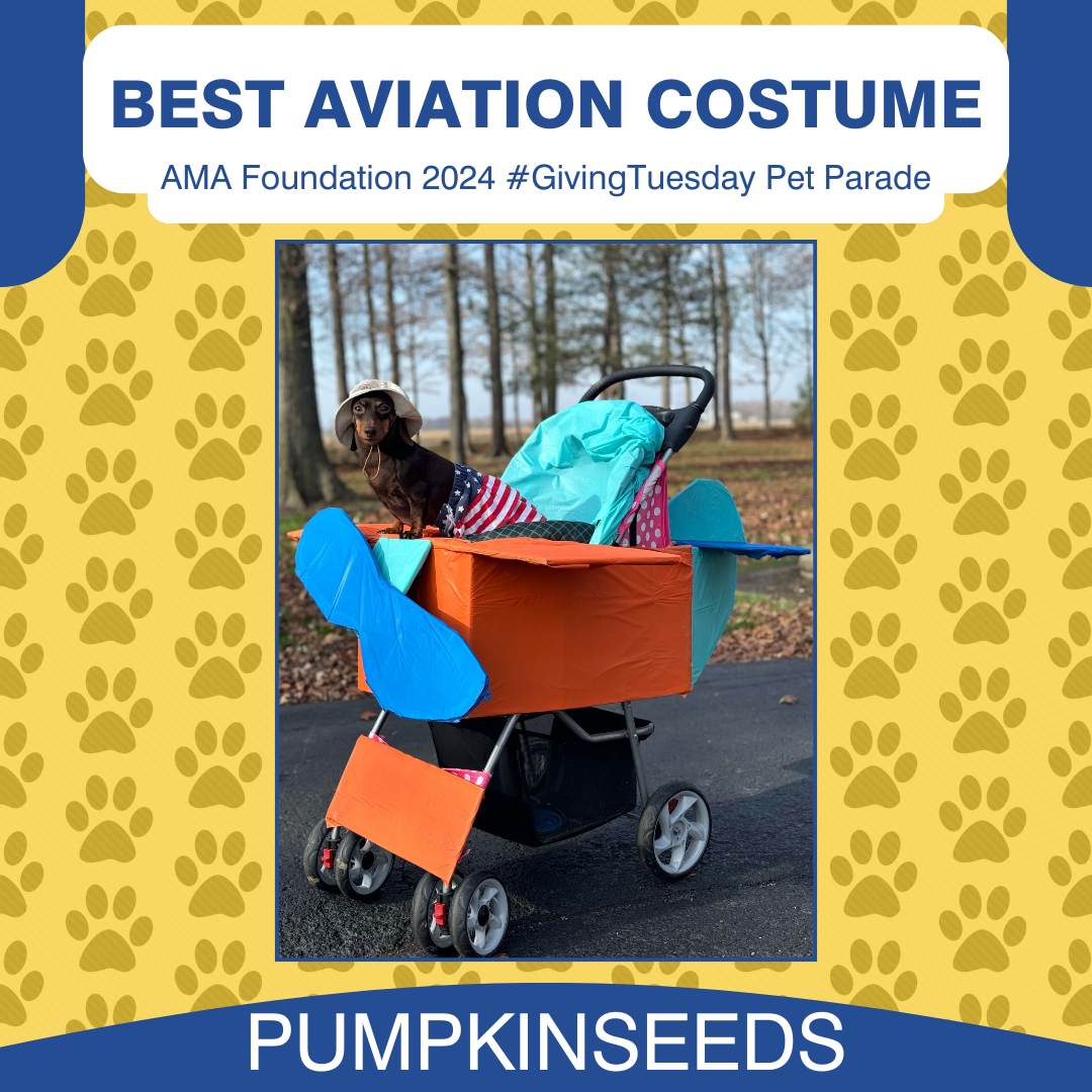The 2024 #GivingTuesday Pet Parade Winners | Academy of Model ...